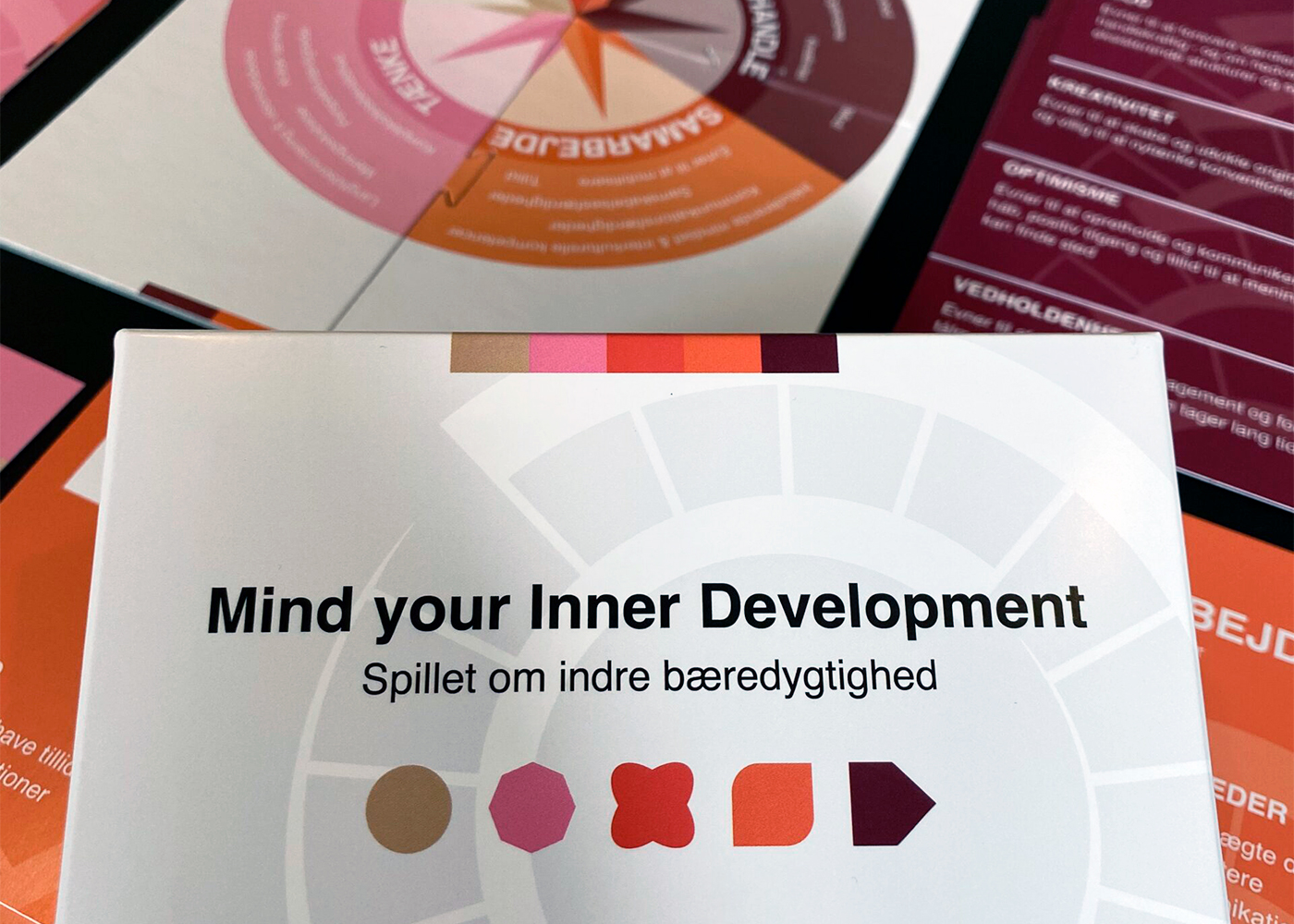 DIALOGSPIL: MIND YOUR INNER DEVELOPMENT - CAPIO CONSULT ApS